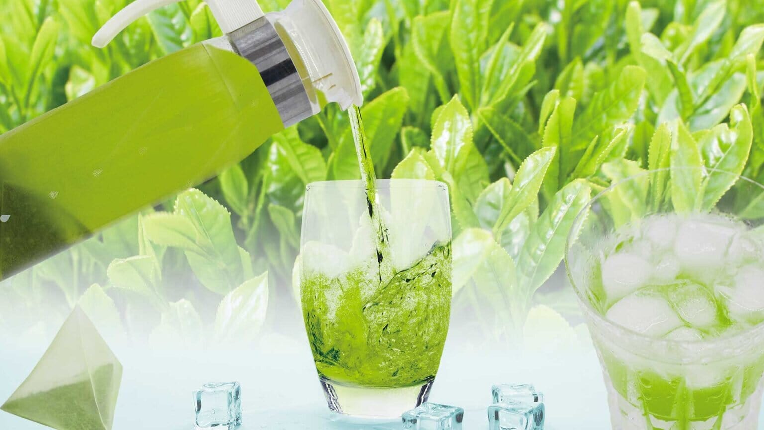 Japanese Green Tea Online | Authentic Tea Ships from Japan